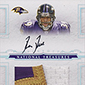 Ray Rice Cards and Memorabilia Buying Guide